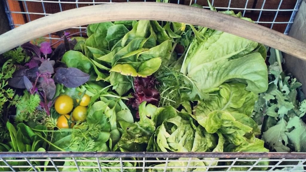 French Healthy Eating Habits-What I Know After 20 years in France