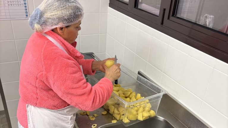 French school lunches: How They Work (Menus, Quality, Culture & Regulations